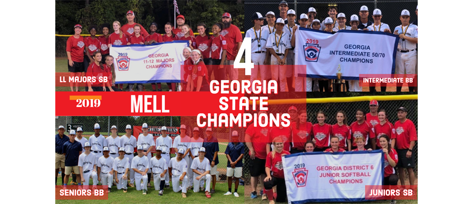 Martinez-Evans Little League-Divisions